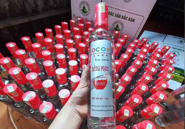 Báo giá bán rượu men lá Bằng Phúc chính hãng năm 2024
